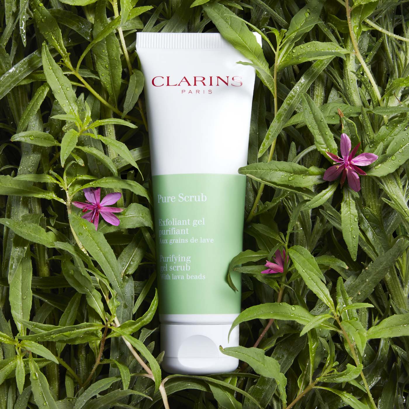 Pure Scrub: Purifying Gel Face Scrub | Clarins Singapore Online - Clarins